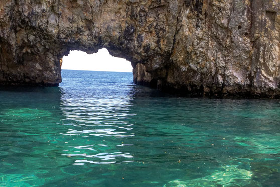 Diving in low visibility - The Fishing Website