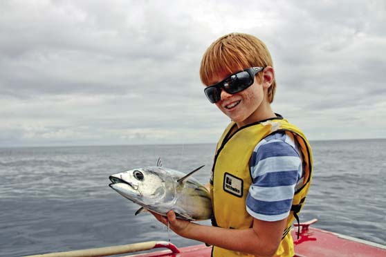 Skipjack tuna - fly fishing - The Fishing Website