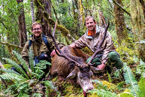 Stag hunting - The Fishing Website