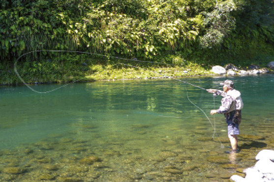 TRYCD Allfly Kit Review - The Fishing Website