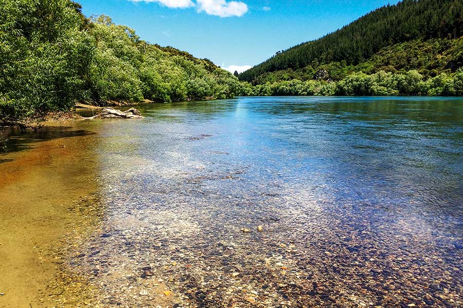 Exploring Tuapeka West - The Fishing Website