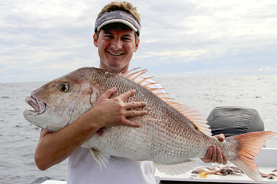Where to find big snapper in New Zealand - The Fishing Website