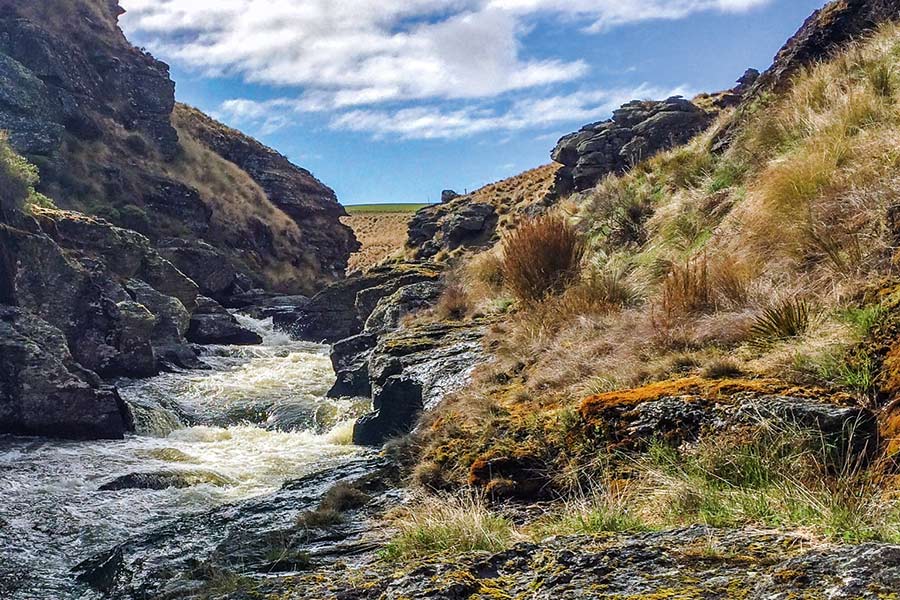 Fishing the Teviot River - The Fishing Website