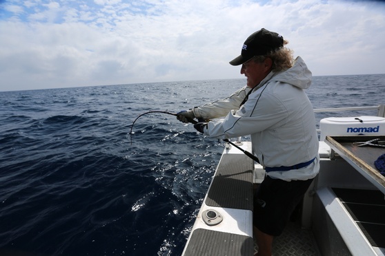 Koheru - catching and using it for bait! - The Fishing Website