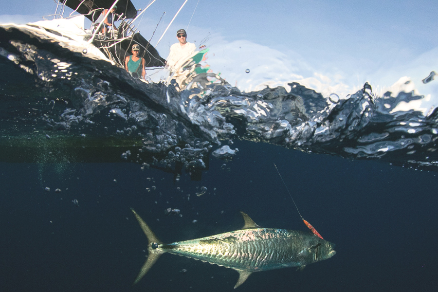 Pacific Fishing Reports - The Fishing Website