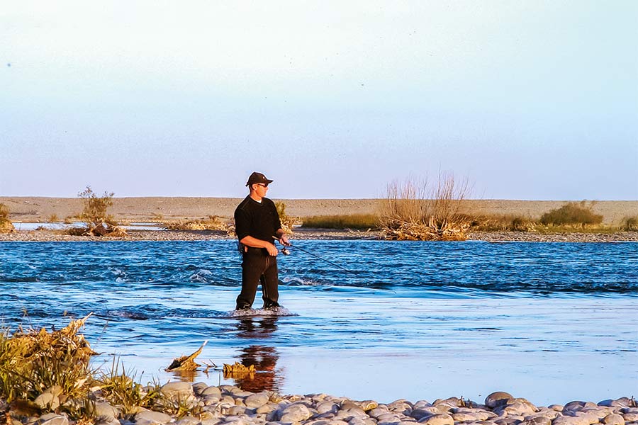 Catching Sea Run Trout - The Fishing Website