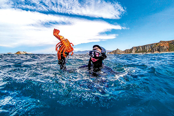 A Crayfishing Journey - The Fishing Website