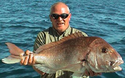 Have your say on the future of the Hauraki Gulf - The Fishing Website