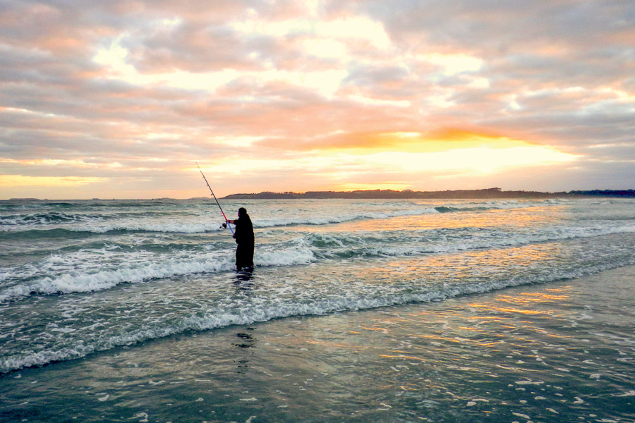 Successful berley surf casting tips - The Fishing Website