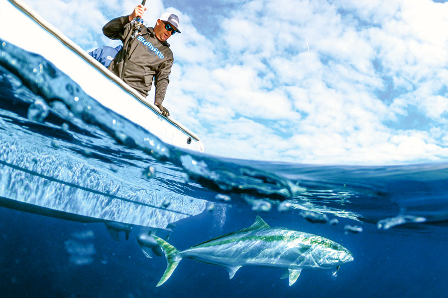 What Lures and When? - The Fishing Website