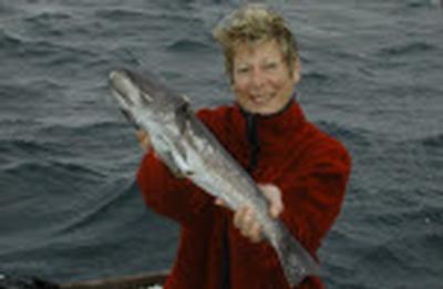 Support for changing the blue cod size limits in Marlborough Sounds ...