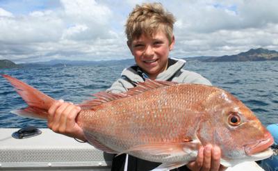 Winston Peters says new snapper allocation system needed. - The Fishing ...
