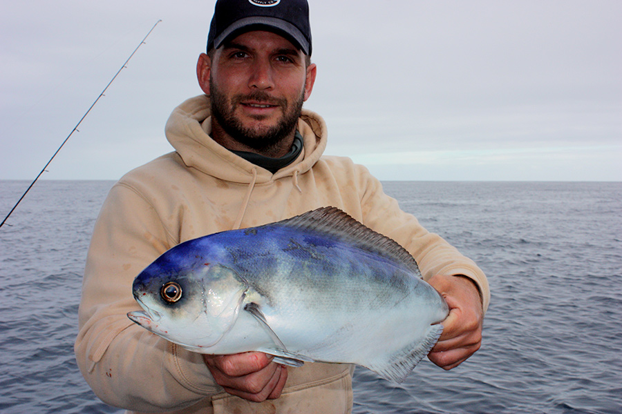 A Jellicoe Channel FAD Surprise! - The Fishing Website