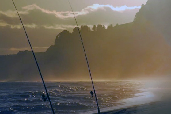 Surfcasting - Rigs, Tips and Techniques - The Fishing Website