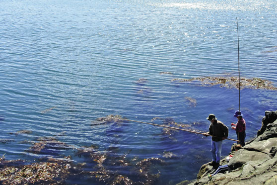 Dapping - The Fishing Website