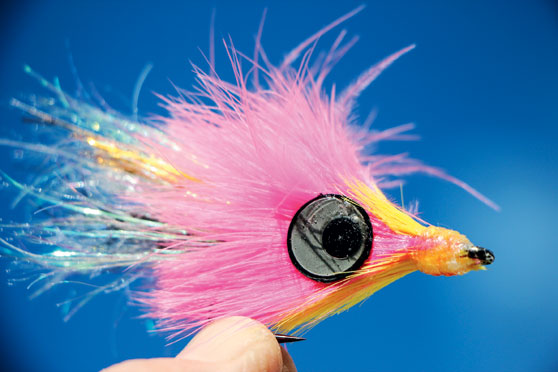 Best salt water fly fishing lure - The Fishing Website