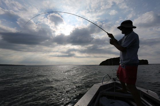 Saltwater-fly fishing for beginners - The Fishing Website