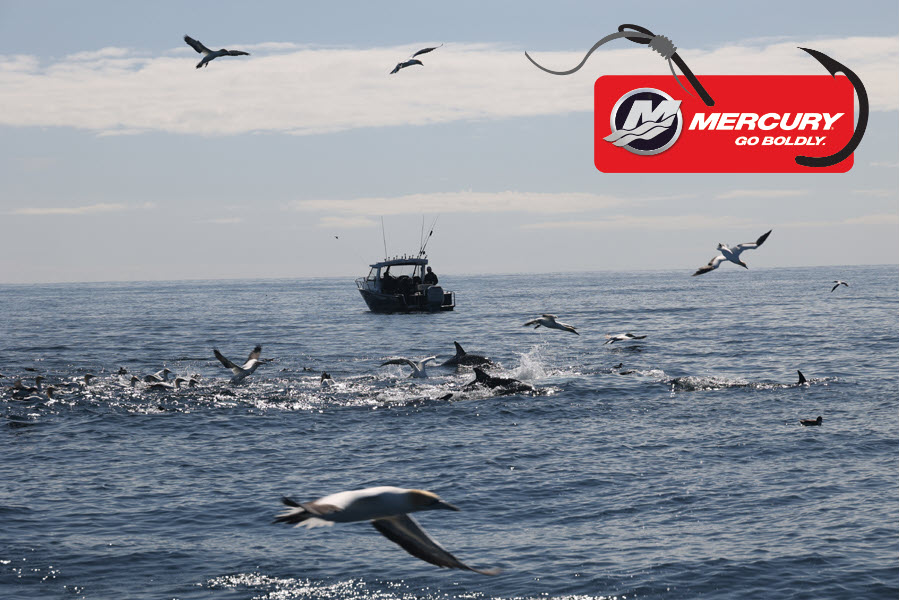 Latest Fishing Reports - 14/11/25 - The Fishing Website