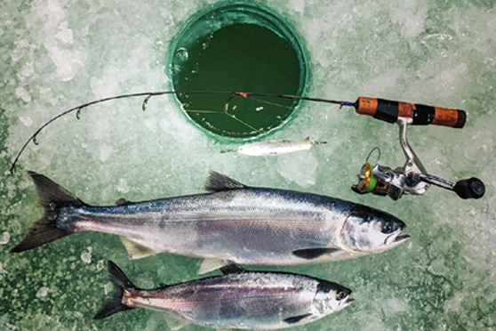 Ice fishing in Canada - The Fishing Website