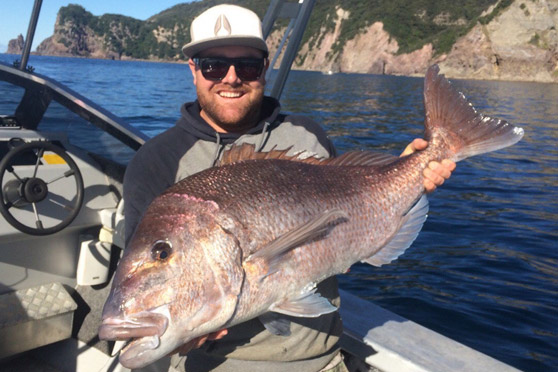 Big Snapper caught at Little Barrier 95cm - 15.1kg - The Fishing Website