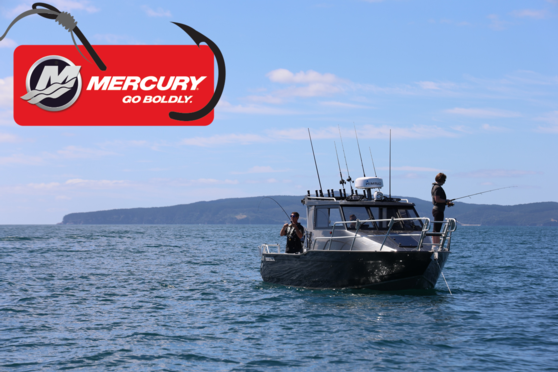 Raglan Fishing Report - March 24th, 2022 - The Fishing Website