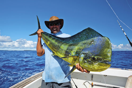 Fishing Vava'u part 2 - The Fishing Website