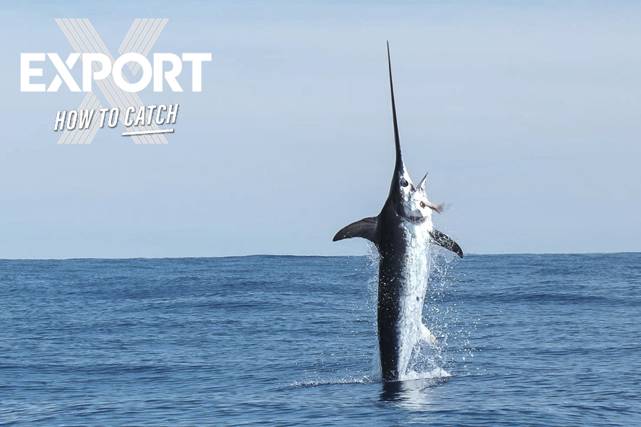 How to Catch: Swordfish and Bluefin Tuna - The Fishing Website
