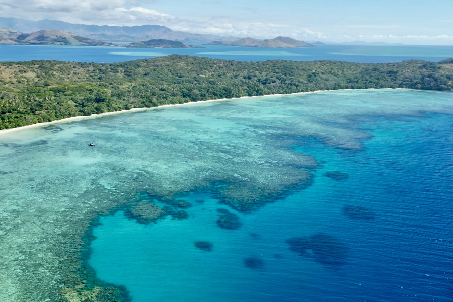 Spearfishing in Fiji - The Fishing Website