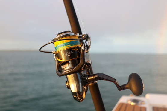 2025 Shimano Stella SW D Review - The Fishing Website