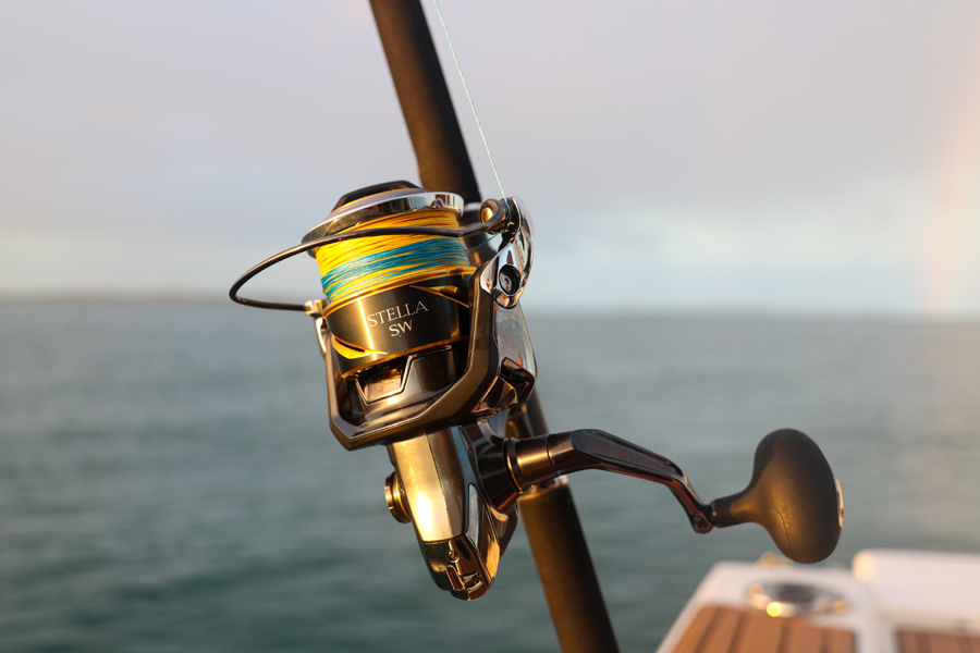 2025 Shimano Stella SW D Review - The Fishing Website