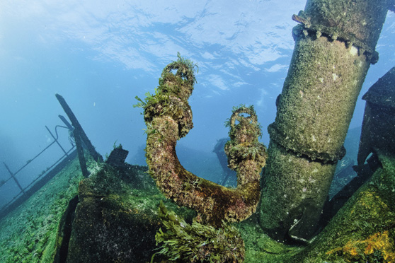 Wreckage of Rena to Remain on Reef - The Fishing Website