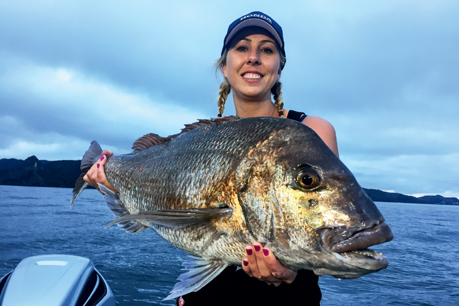 How to mount a snapper jaw - The Fishing Website