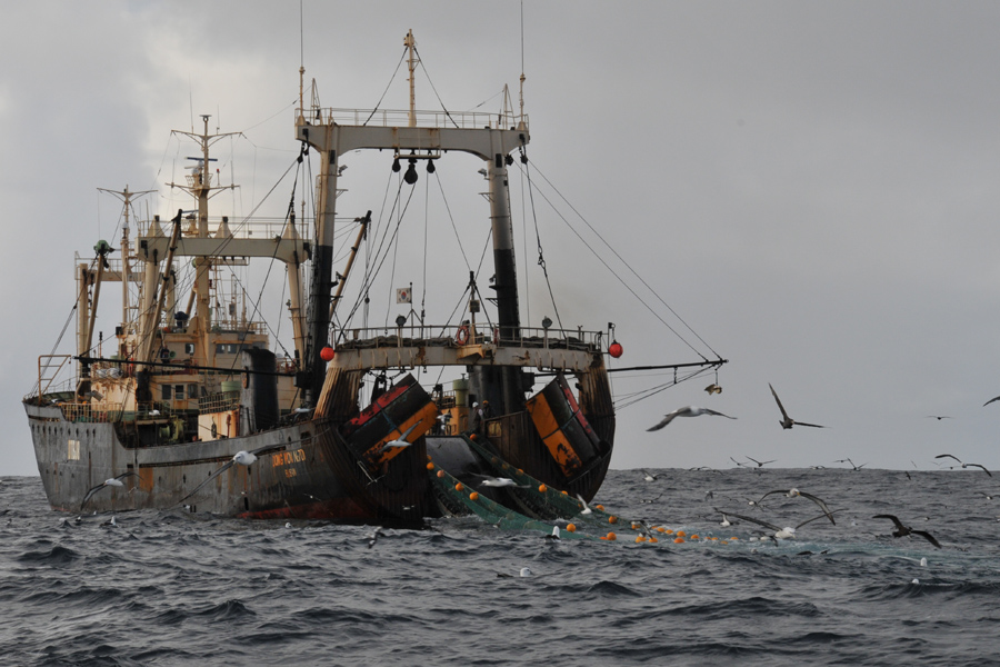 Widespread Commercial Catch Limit Increases - The Fishing Website