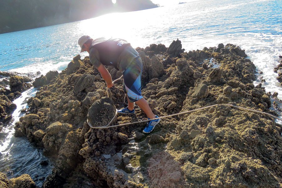 Land-based fishing for beginners - The Fishing Website