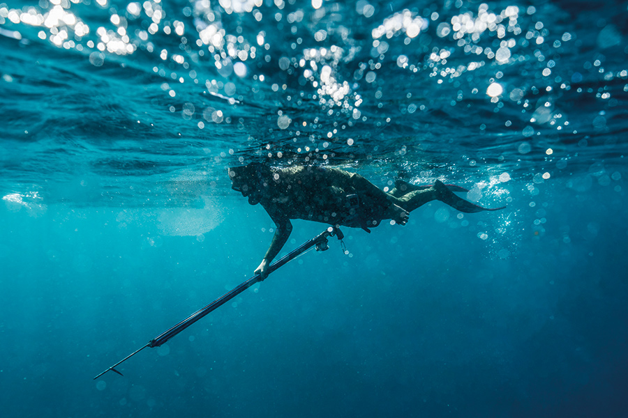 Freediving for Mahimahi - The Fishing Website