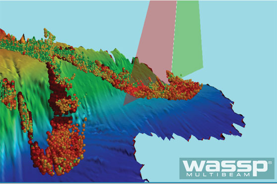 How WASSP is making a major contribution to sustainability - The ...