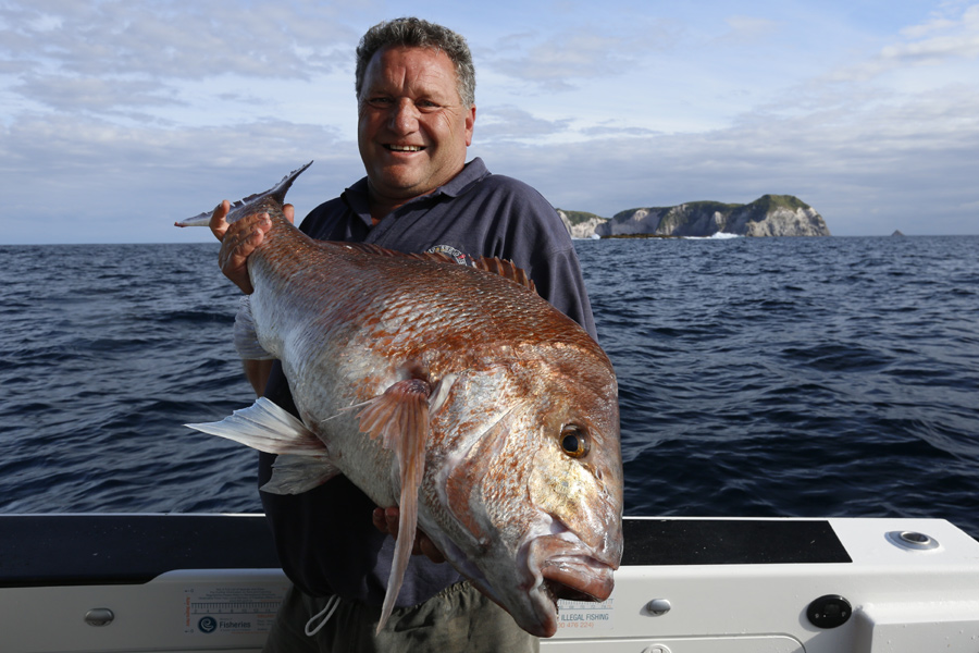 Catching big snapper - top tips with bait and berley - The Fishing Website