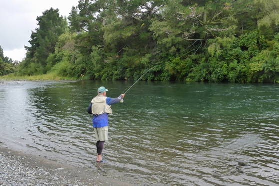 The Taupo Fishery - An Overview - The Fishing Website