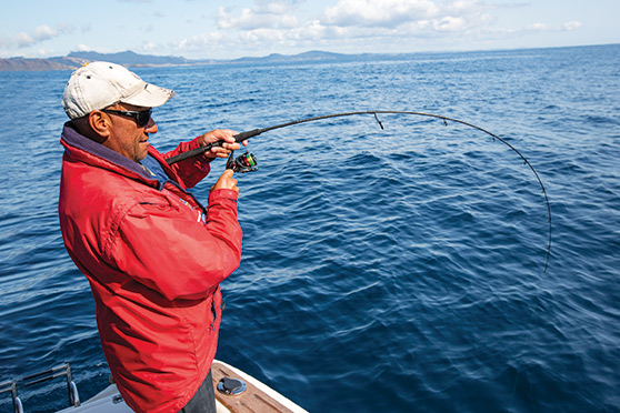 Daiwa KIX Soft-Bait Combo Review - The Fishing Website