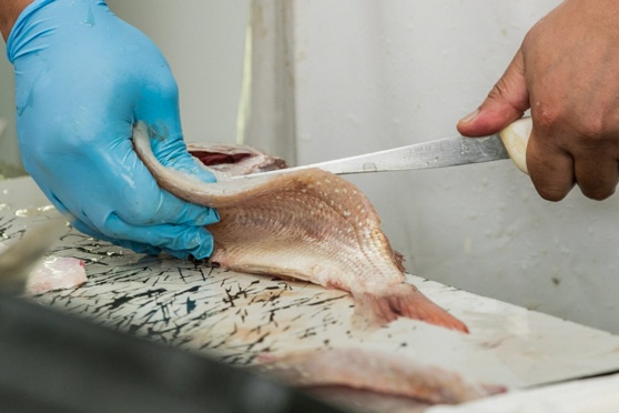 How to Get the Most from Your Filleting Knife - The Fishing Website