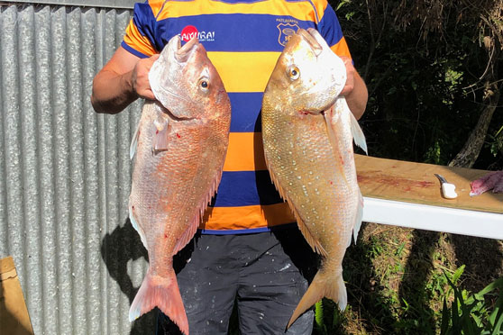 Raglan Fishing Report 141218 - The Fishing Website
