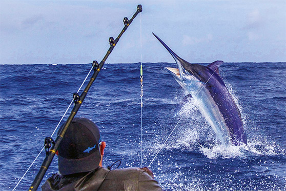 An Interview with Captain Tony Carpenter - The Fishing Website