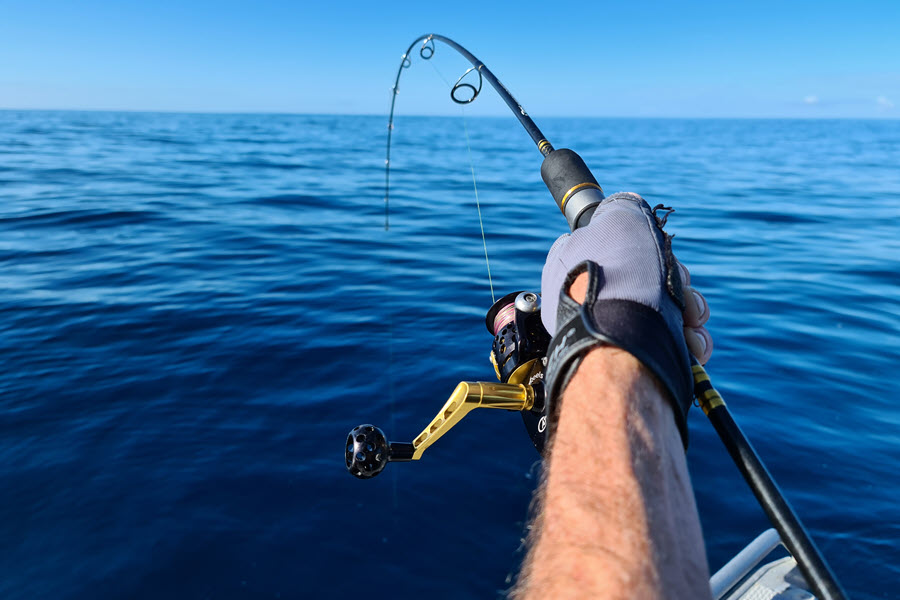 The dangers of fish spike infections - The Fishing Website