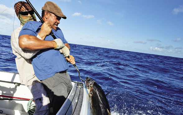 Fishing Vava'u part 1 - The Fishing Website