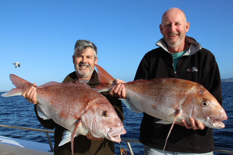 Filleting fish - The Fishing Website