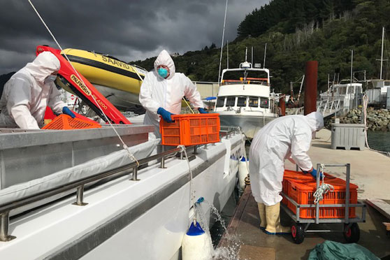 Industry in lockdown mode - The Fishing Website