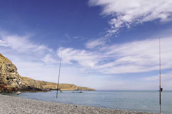 How to catch red cod - The Fishing Website