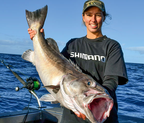 Mayor Island - The Fishing Website