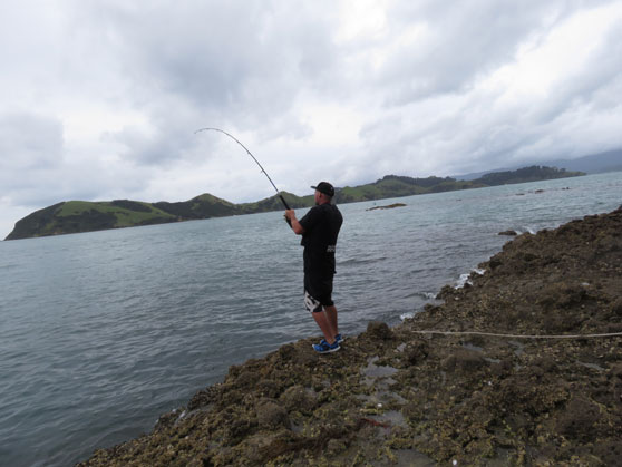Preparing for land based fishing - The Fishing Website