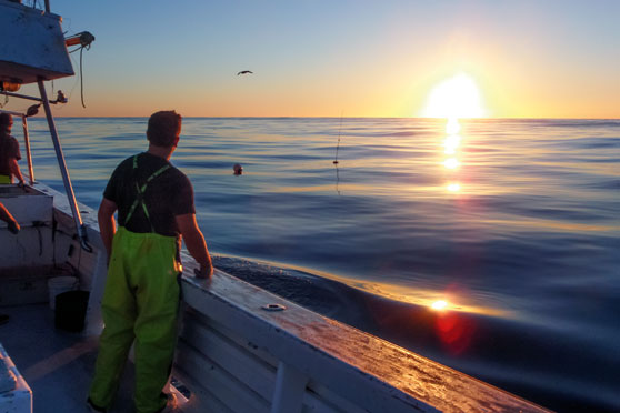 MPI onboard fisheries observers - The Fishing Website